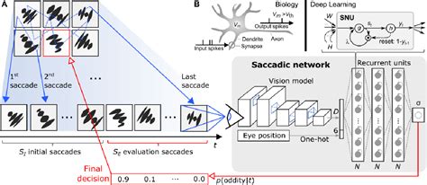 Figure 3 From On The Visual Analytic Intelligence Of Neural Networks