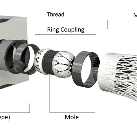 Description Of Molemod Parts Includes Beta Version Of Mod Bar Type Download Scientific Diagram