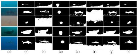 Monocular Vision Based Underwater Object Detection