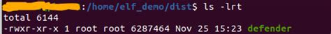 How To Convert A Python File To An Elf File And How To Execute The