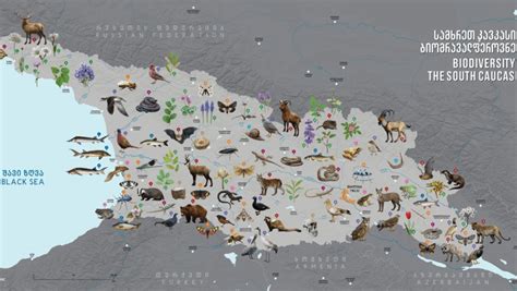 შეიქმნა საქართველოს ბიომრავალფეროვნების პირველი ორენოვანი რუკა