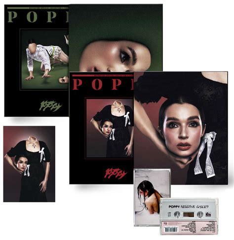 Poppy X Revolver Special Artist Of The Year Magazine In Slipcase W ‘n