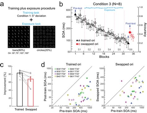 Feature Variability Determines Specificity And Transfer In Multiorientation Feature Detection