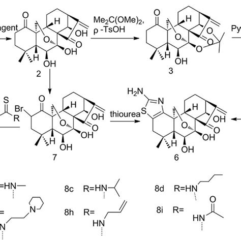 Routes For Introduction Of Thiazole Rings At The C1 And C2 Sites On