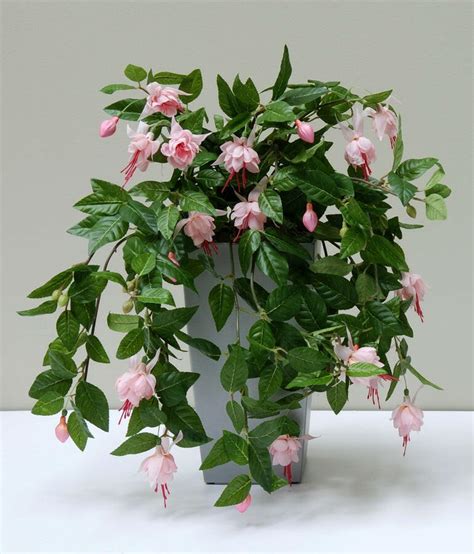Artificial Silk Trailing Fuchsia Just Artificial