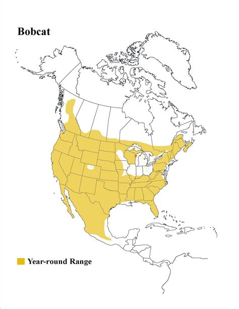 Bobcats Habitat Map