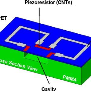 Schematic Diagram Of A Designed Pressure Sensor Download Scientific Diagram
