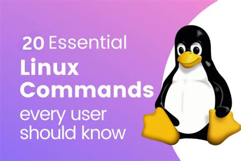 Rokia Abdelaziz On Linkedin Get More Done In Less Time 20 Essential Linux Commands For 80 Of