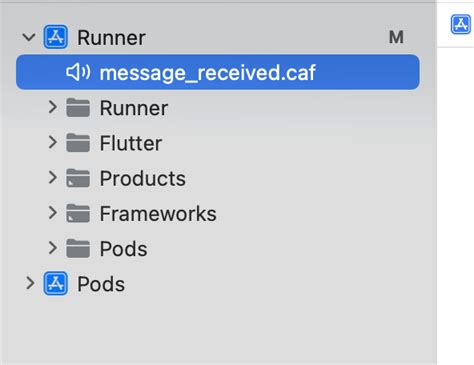 [macos] custom notificaiton sound not working · issue 1612 · maikub