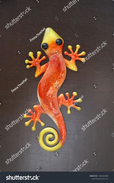 6 Geeko 图片、库存照片和矢量图 Shutterstock