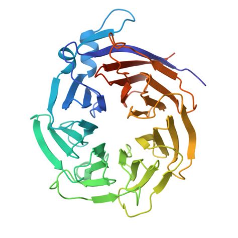 Rcsb Pdb 8gqe Crystal Structure Of The W285a Mutant Of Uvr8 In Complex With Rup2