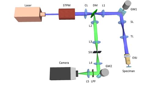 Optical Setup For LSFMM System STPM Spatial Temporal Phase Modulator Download Scientific