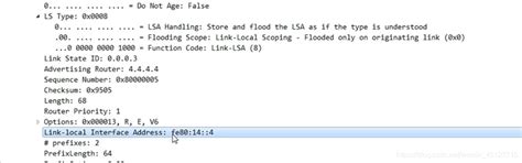 ospfv3的lsa类型抓包详解 csdn博客
