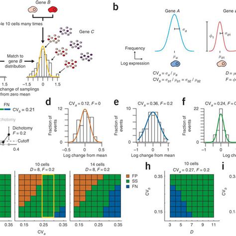 Stochastic Profiling Of Matrix Attached Cells At Day 10 Of Mcf10a