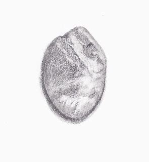 Holly S Daily Draw Pebble 1