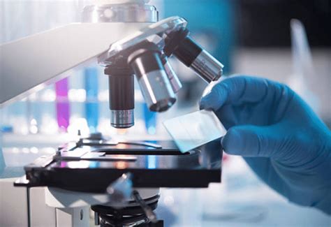 Tissue Processor With 330 Cassettes