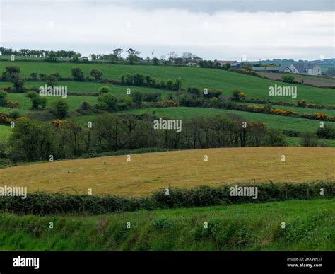 Picturesque Fields Of Southern Ireland On A Spring Day Beautiful Irish