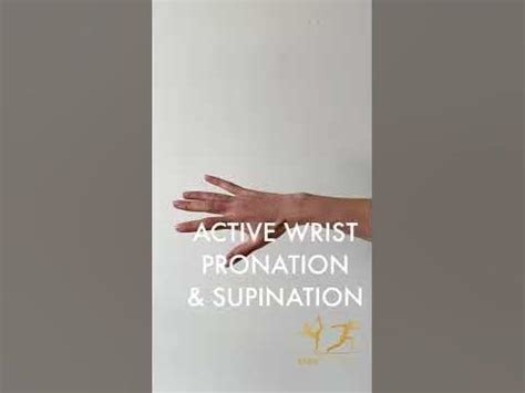 Wrist Mobility Exercise Pronation And Supination Post Operative Hand
