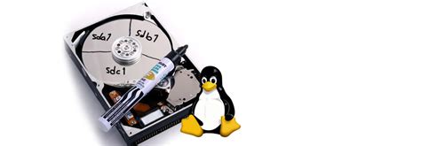 Extend Second Hard Drive On Debian System Lucas Techblog