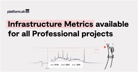 Infrastructure Metrics For Professional Projects Platformsh