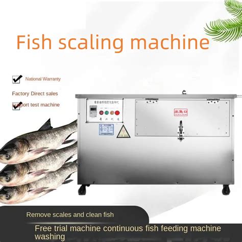 Stainless Steel Fully Automatic Fish Scaling Machine For Hotels And