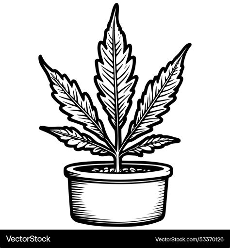 Line Pot Leaf Sketch Realistic Monochrome Vector Image