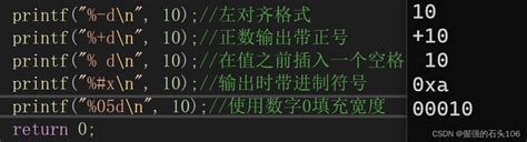 【c语言指南】printf()函数详解 Csdn博客 【c语言指南】printf()函数详解 Csdn博客