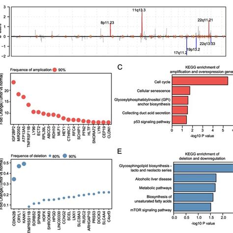 Copy Number Variation In Early Escc A Significance Of Copy Number Download Scientific Diagram