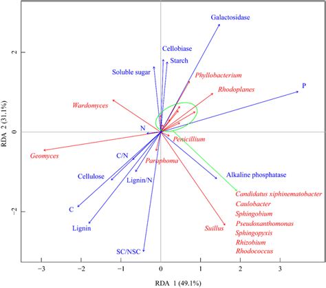 Rda Of Dominant Microbial Genus Population Litter Chemistry And Enzyme
