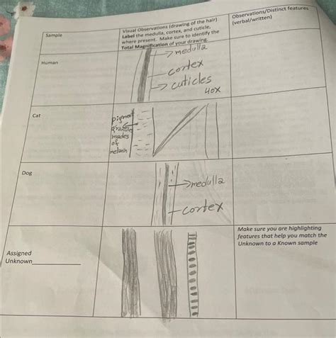 question 5 when you summarize the results of an