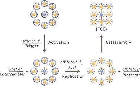 Scientists Construct Sophisticated Synthetic System Using Self