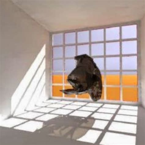 Archicad And Vectorworks For Beginners My Tips Youtube