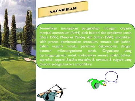 Presentation Nitrogen Prely Pptx