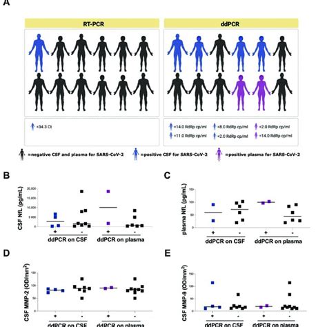 detection of sars cov 2 rna on csf and plasma samples and evaluation of