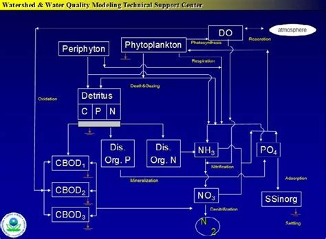 Model For Eutrophication Used By Wasp Source Usepa 2015 Download