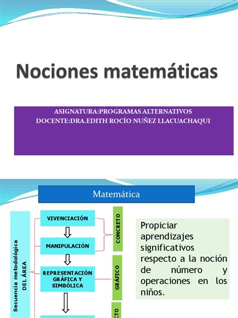 Nociones Básicas De La Matemática Pdf Percepción Función