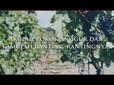 Akulah pokok anggur dan kamulah ranting-rantingnya. - YouTube