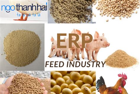 Phần mềm erp ngành thức ăn chăn nuôi Feed Hải ERP