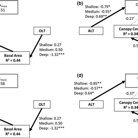 structural equation models demonstrating the influence of environmental