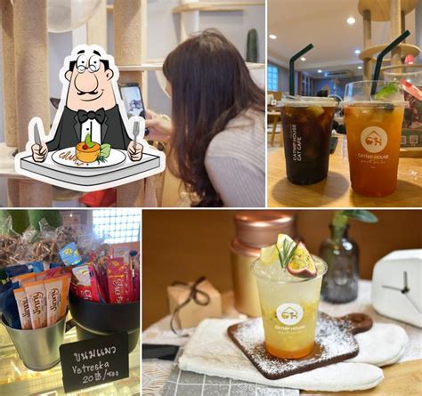 Catnip House Cafe Bangkok Restaurant Reviews