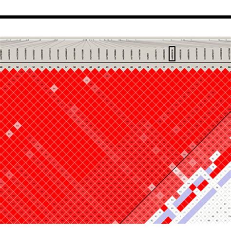 The Linkage Disequilibrium Ld Plot Of Hapmap Snps Within The Cdh1