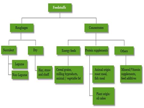 Classification Of Feedstuffspdf Classification Of Feedstuffspdf