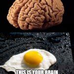 This Is Your Brain Meme Generator Imgflip