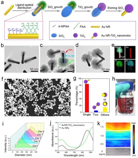 Synthesis And Characterization Of The Janus Aunr Tio2 Nanomotor A Download Scientific