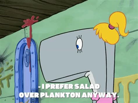 Spongebob Salad S Get The Best  On Giphy