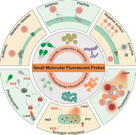 Small Molecular Fluorescent Probes Application Progress Of Specific