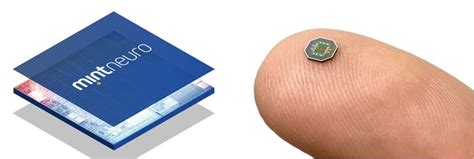 🔍 Wanted Senior Mixed Signal Ic Design Engineer 🔍 Mintneuro Is On The Lookout For A Talented