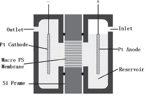 8 Schematic Of The Eop Based On Porous Silicon 11 Permission In