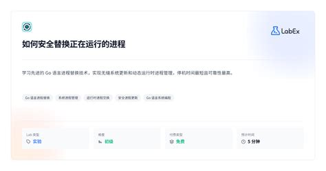 如何安全替换正在运行的进程 Labex