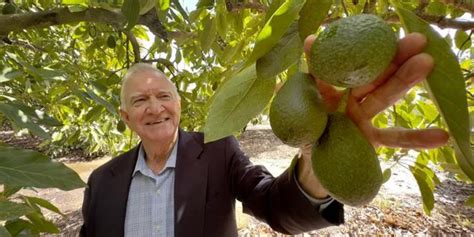 Calavo Growers The Avocado Giant Transforming Fresh Produce Produce